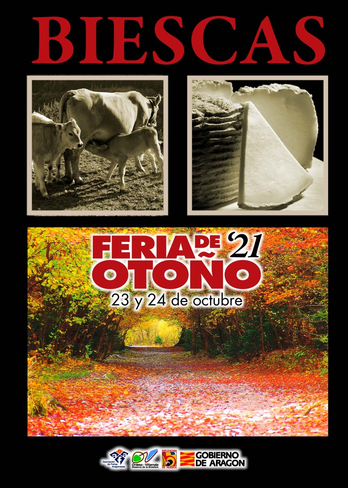 BIESCAS. Feria de otoño 21