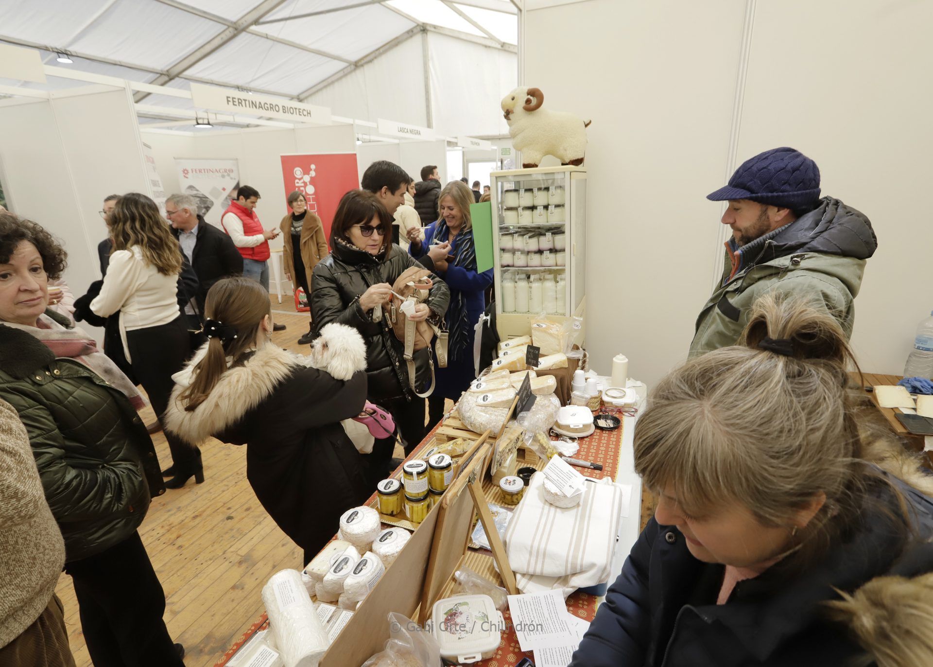Veratruf, la Feria de la Trufa de Vera de Moncayo, la primera del ... Veratruf, la Feria de la Trufa de Vera de Moncayo, la primera del ...