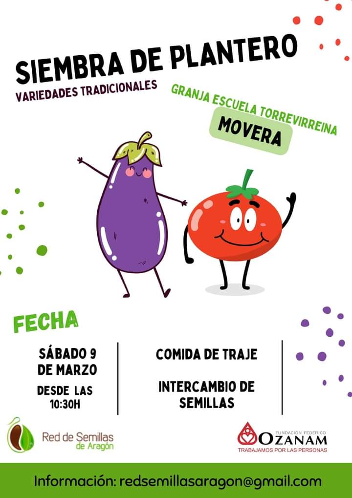 Siembra de plantero. Variedades tradicionales
