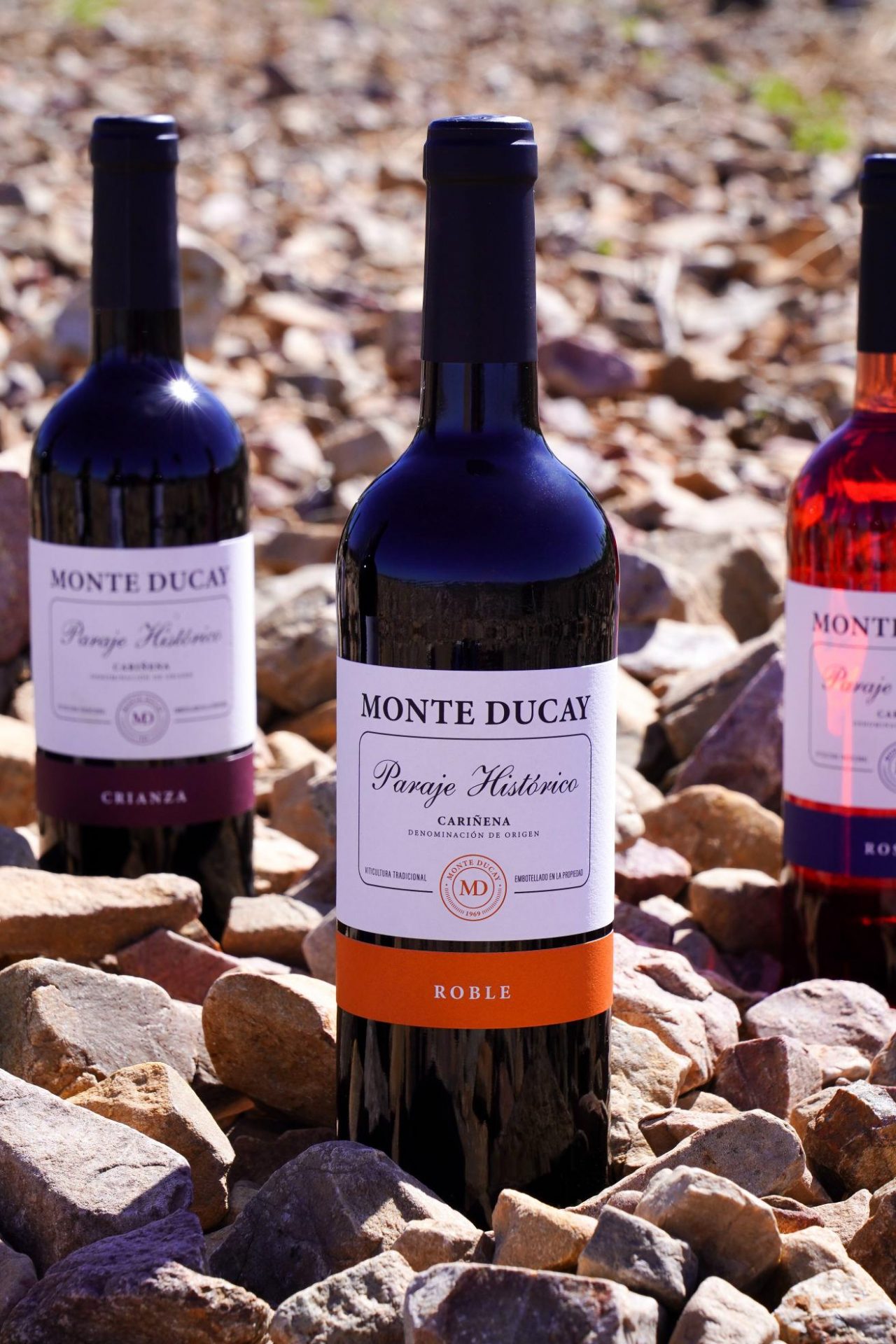 Monte Ducay, una de las marcas históricas de Bodegas San Valero ...